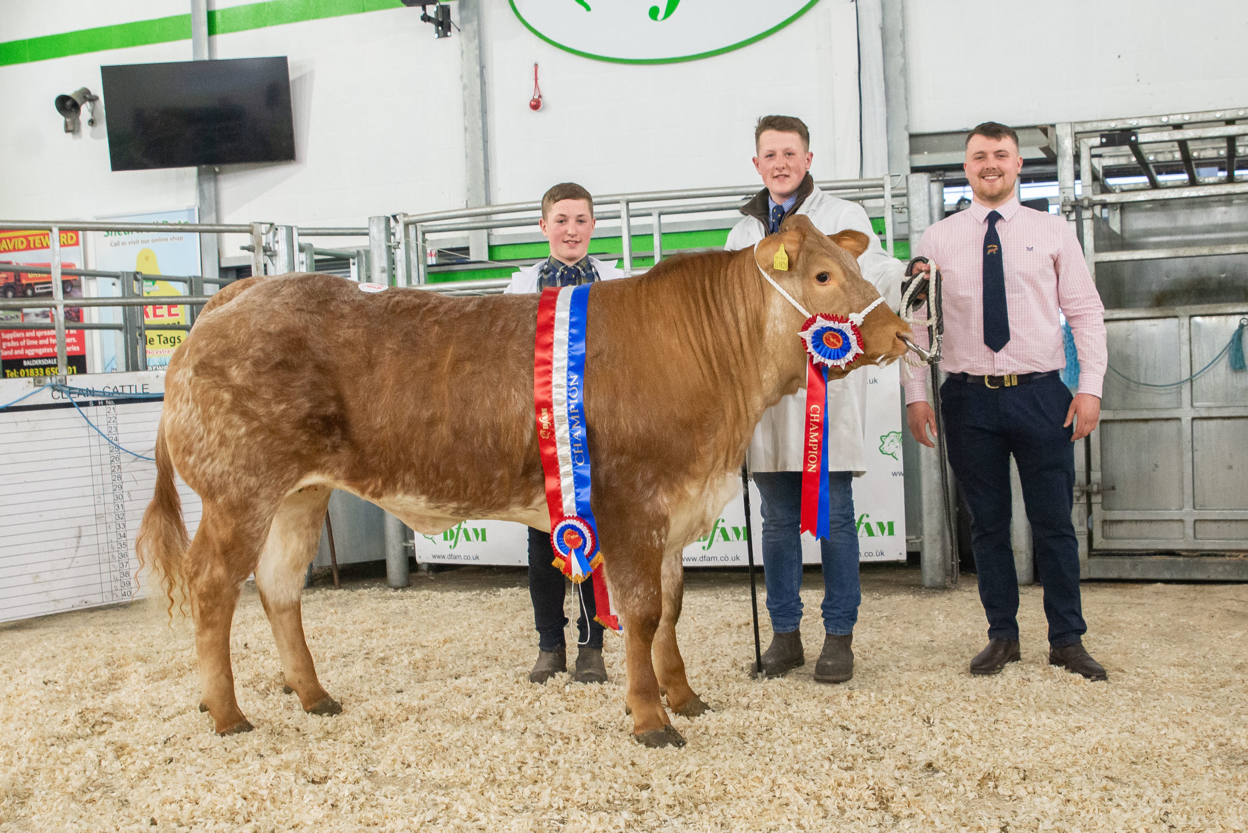 Junior Farmers Show & Sale | Darlington Farmers Auction Mart