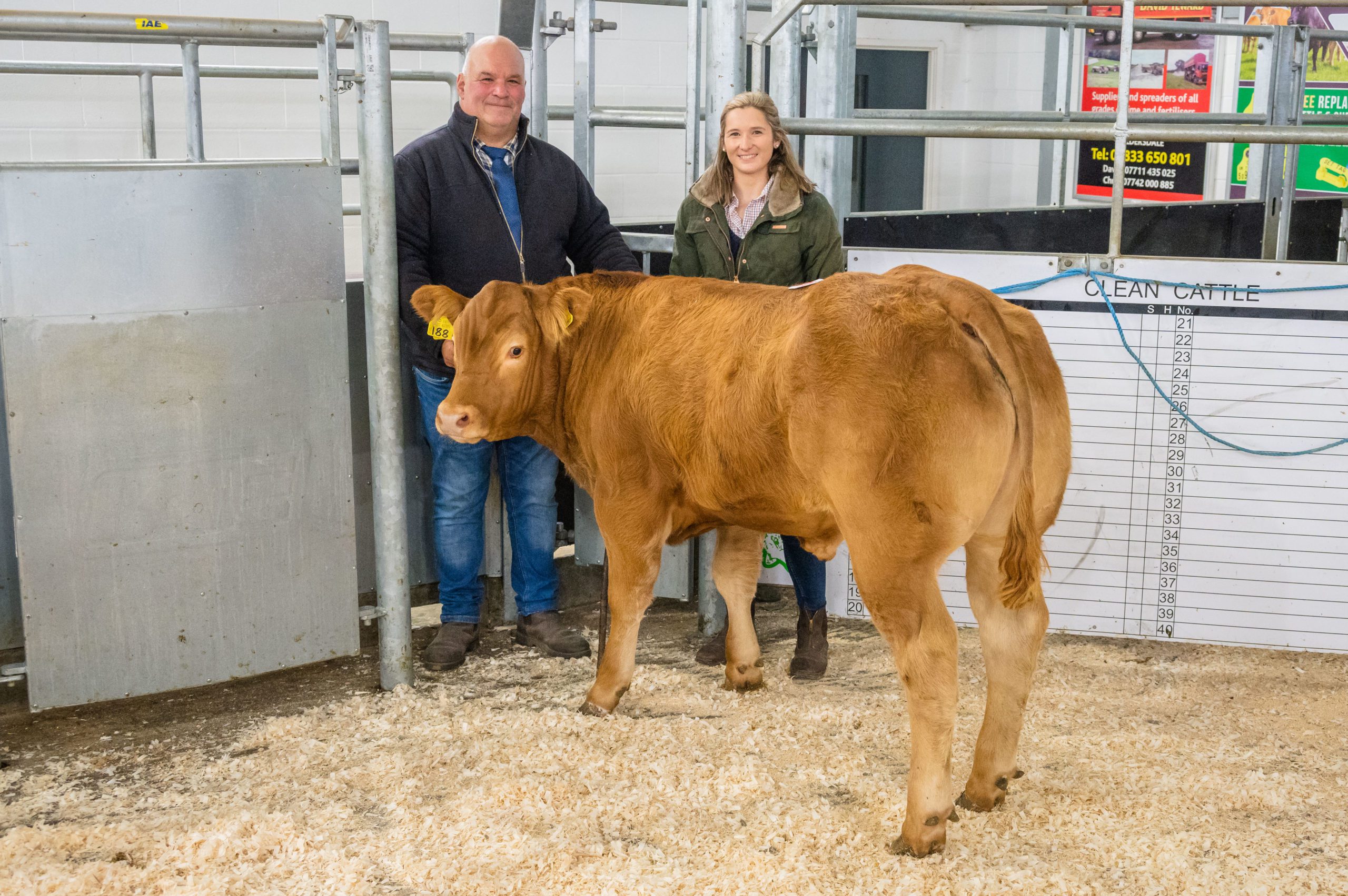 Great Annual Show & Sale of Suckled Calves | Darlington Farmers Auction ...