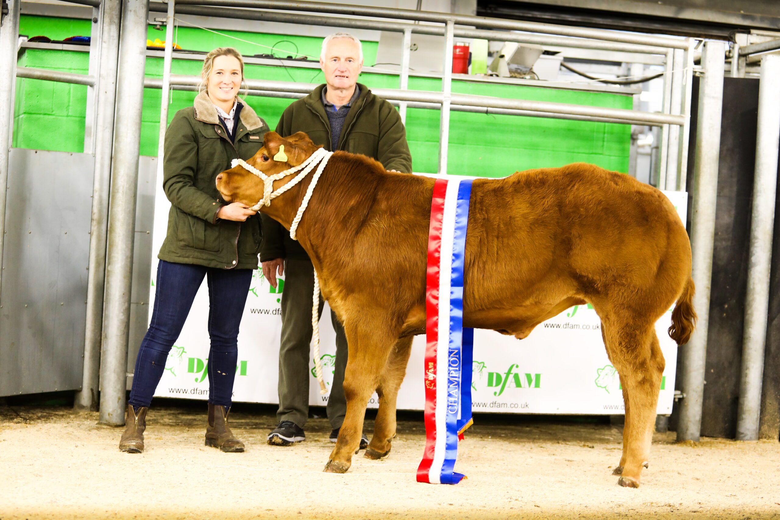 Great Annual Show & Sale of Suckled Calves | Darlington Farmers Auction ...