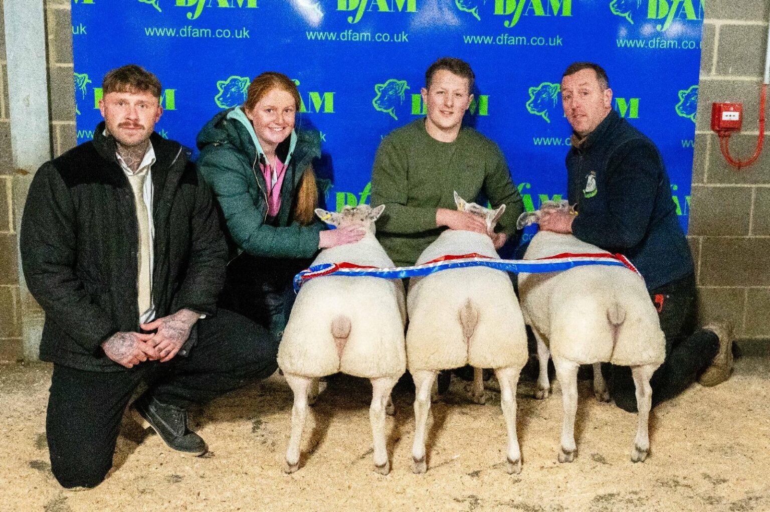 Christmas Prime Stock / 2-Day Show, Sale & Christmas Fayre | Darlington ...